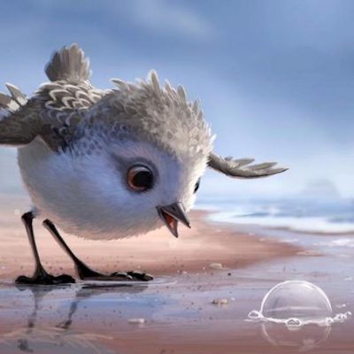 First Look at Pixar's Incredible Short Film Piper - The Credits