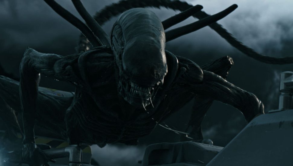 "Alien: Romulus" Star Cailee Spaeny Reveals New Entry Set Between ...