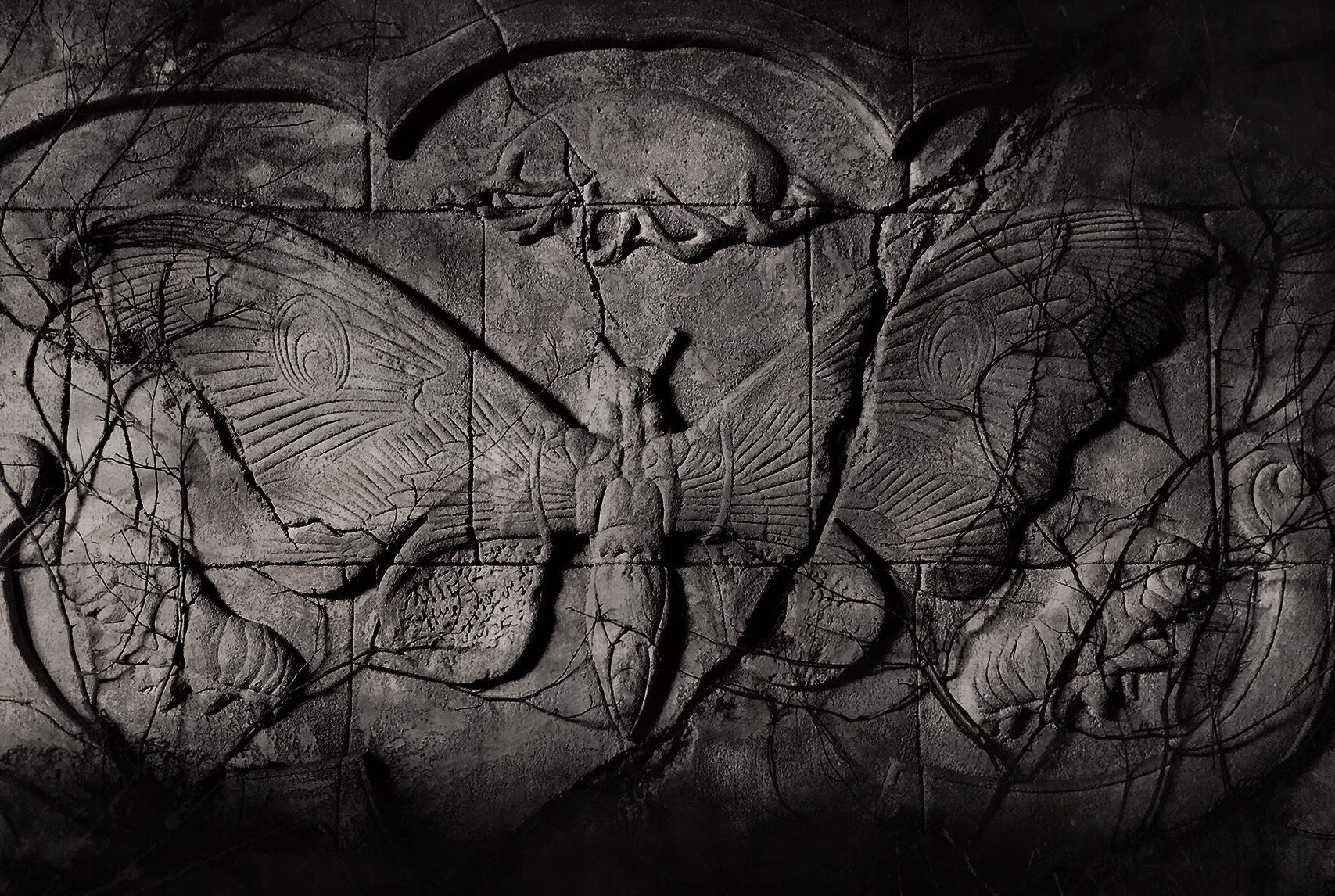 Get Your First Look at one of Godzilla 2's Monsters—Mothra - The Credits