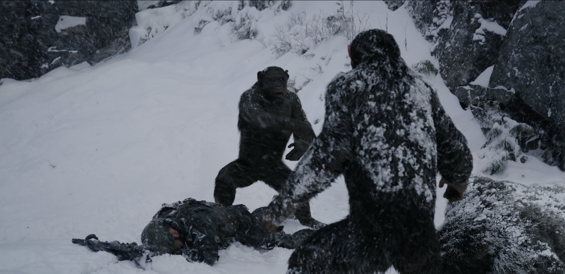 How the Oscar-Nominated War for the Planet of the Apes VFX Supervisor ...