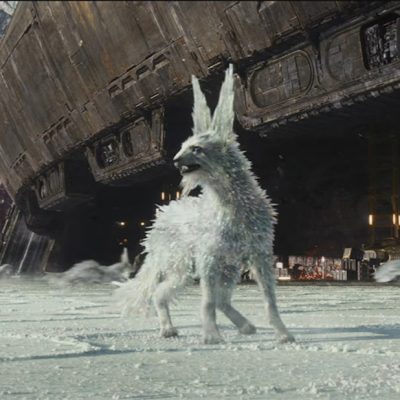 Watch how Real Dogs Helped Create The Crystal Foxes in Star Wars: The ...