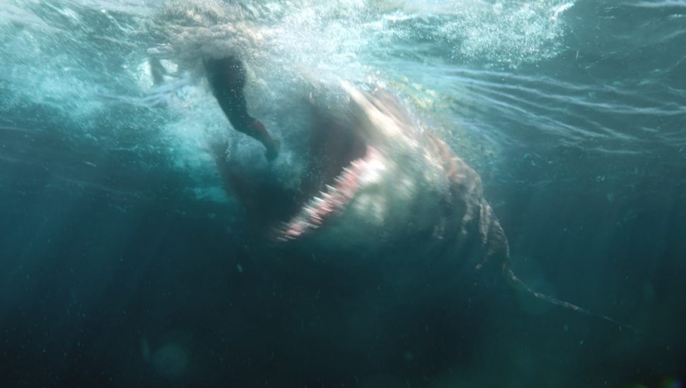 The Meg VFX Breakdown Reveals Creation of the Summer's Biggest Predator ...