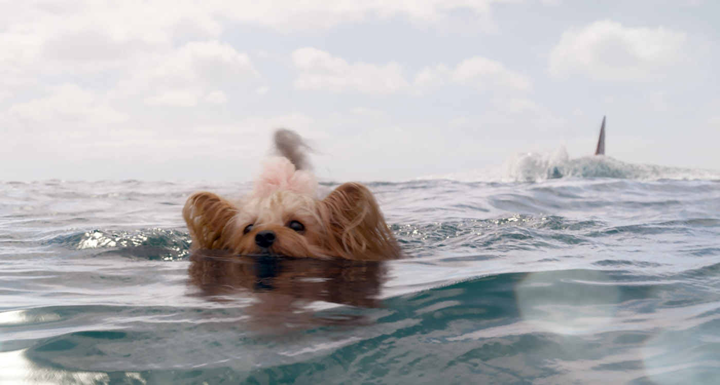 Kelly the Dog & 11 More Reasons to see The Meg This Weekend - The Credits