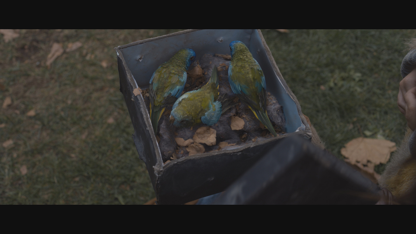 Bird Box's VFX Supervisor on the Monster You Can't See - The Credits