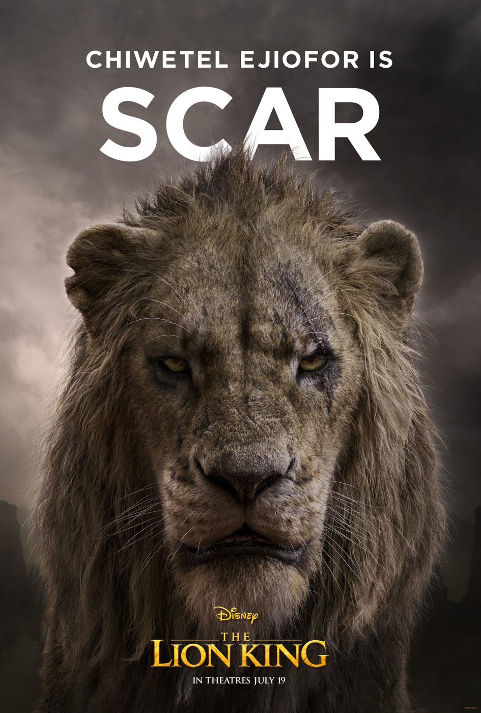 The Lion King's new Images & Posters Tease Film's Gorgeous Photo ...