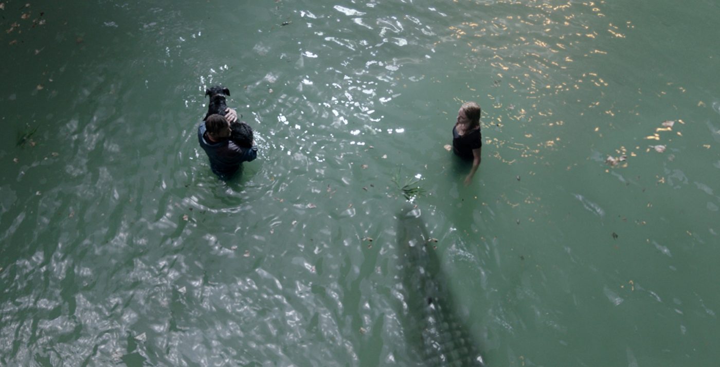 New Images From Crawl Reveal Alligator-Infested Nightmare - The Credits