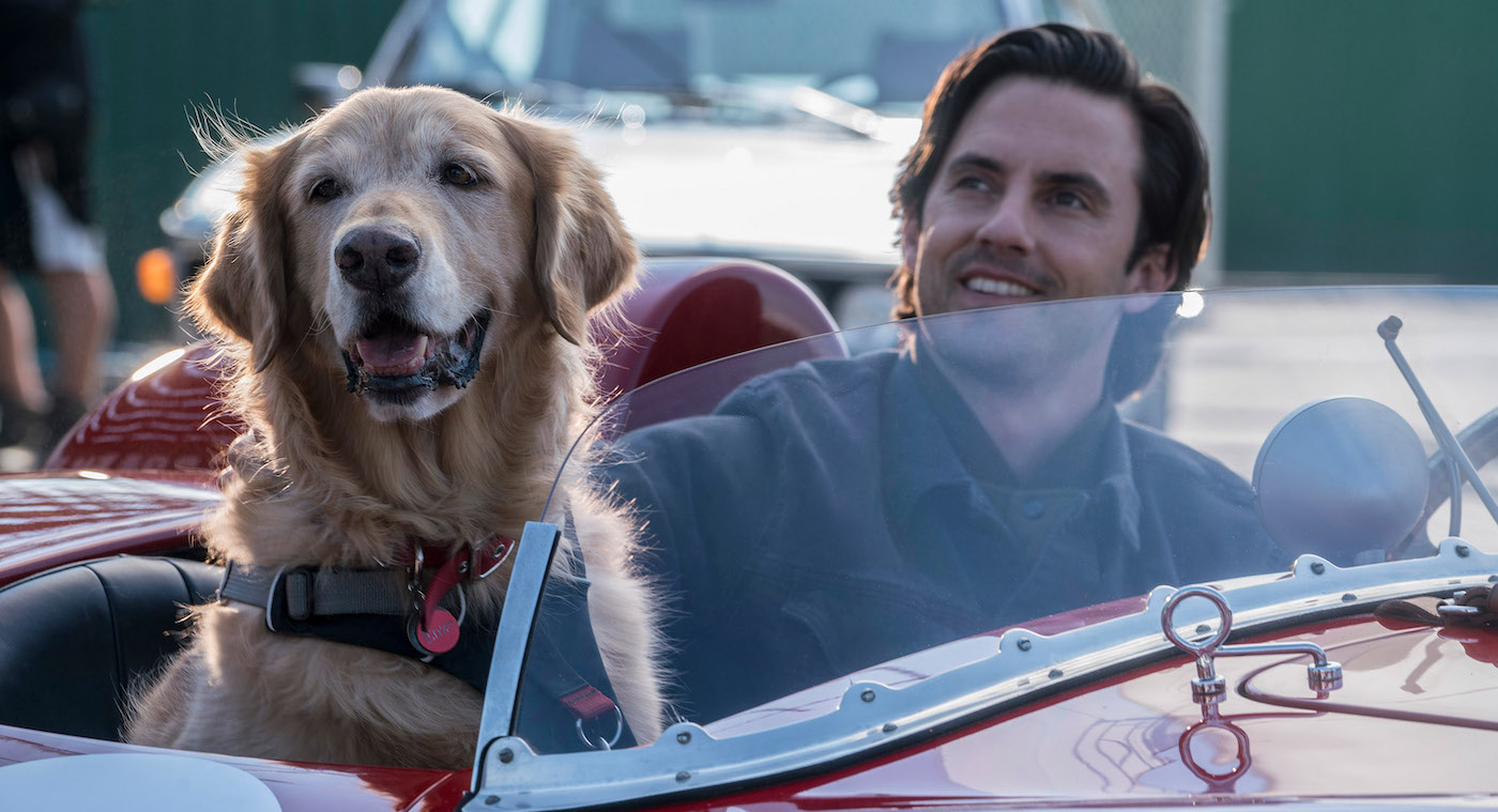 Production Designer Brent Thomas on Building the Emotional The Art of ...