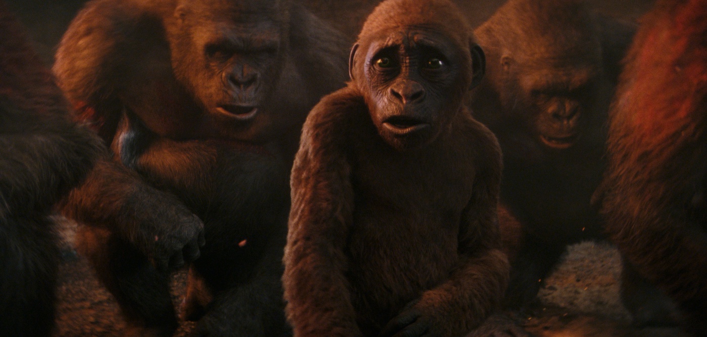 "Godzilla x Kong: The New Empire" Cinematographer Ben Seresin Unleashes ...