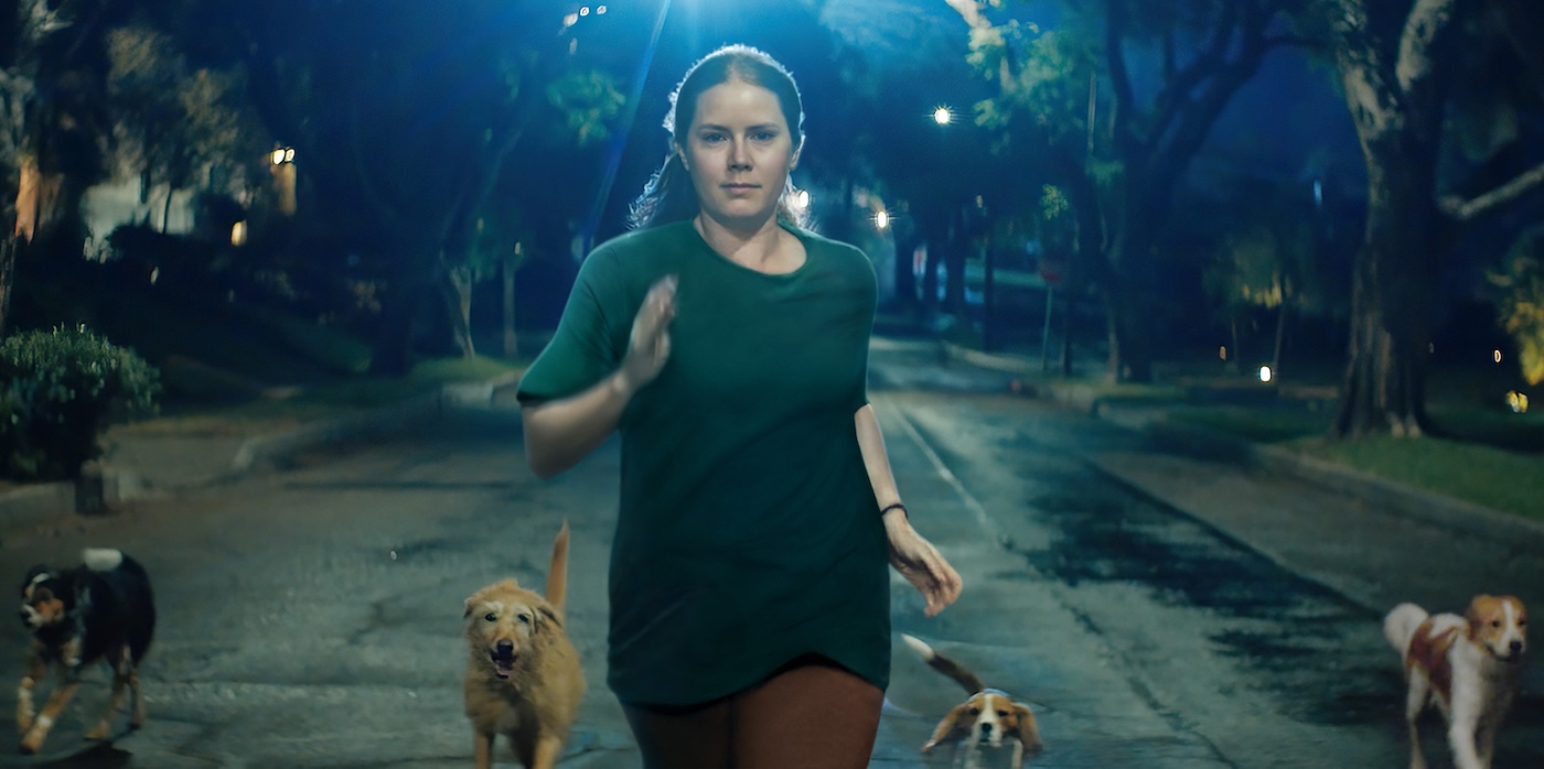 Feral Frame: How "Nightbitch" Cinematographer Brandon Trost Helped Amy ...