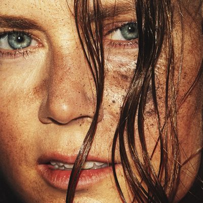 Feral Frame: How "Nightbitch" Cinematographer Brandon Trost Helped Amy ...